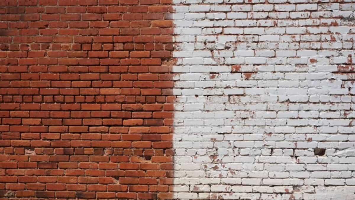 Arabic Opposites: Arabic Adjectives And Their Antonyms